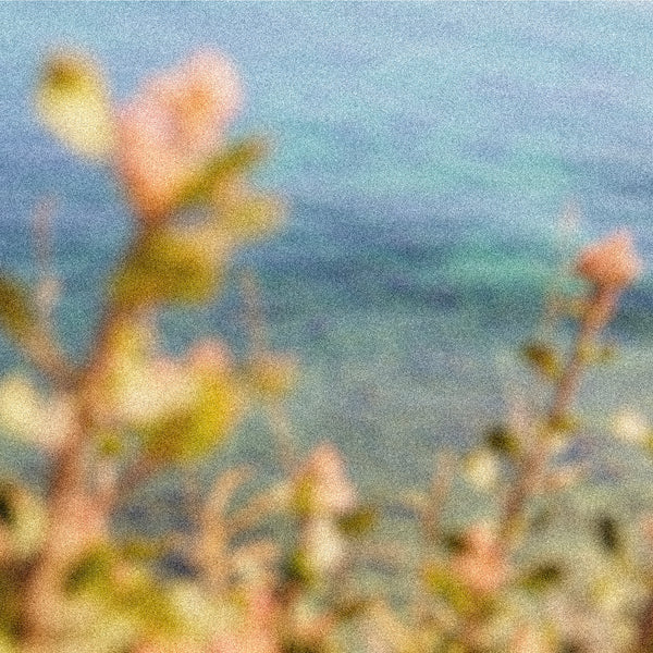 Point Dume Candle – Moreno California US